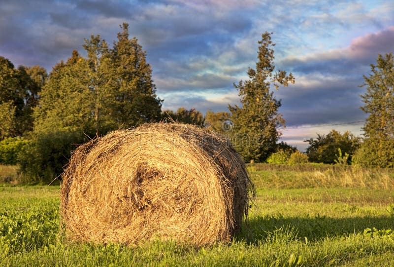Golden Hay Bale in the Countryside Stock Photo - Image of haystack ...