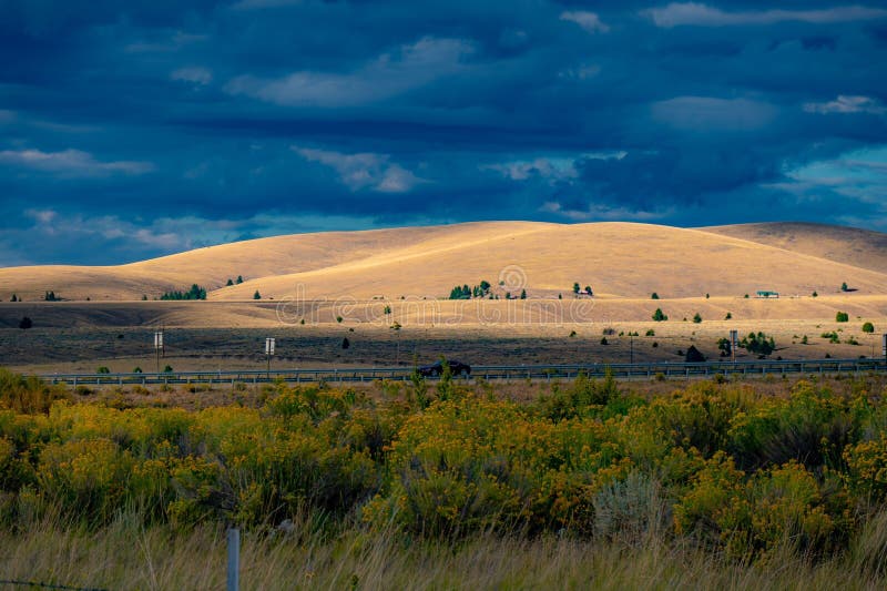 Golden Hills with Wildflowers Under Dramatic Sky Editorial Image ...