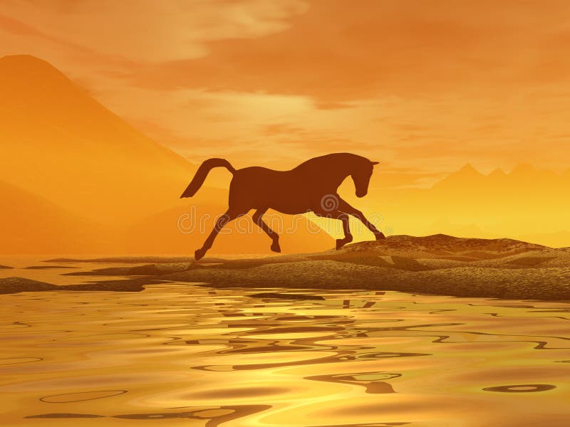 Golden Horse stock photo. Image of riding, sunrise, equine - 201186