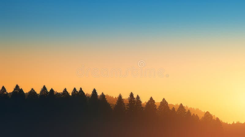 Silhouette Pine Trees Golden Hour Stock Illustrations – 2 Silhouette ...