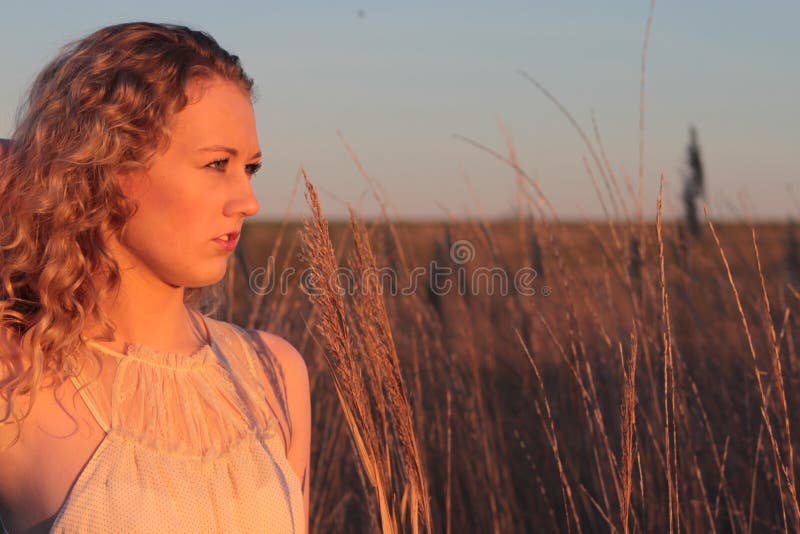 Golden Hour Portrait stock image. Image of life, short - 22960957