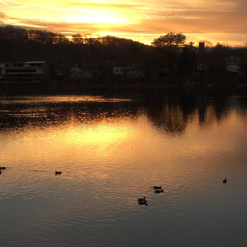 Golden hour editorial photography. Image of river, rural - 82383507