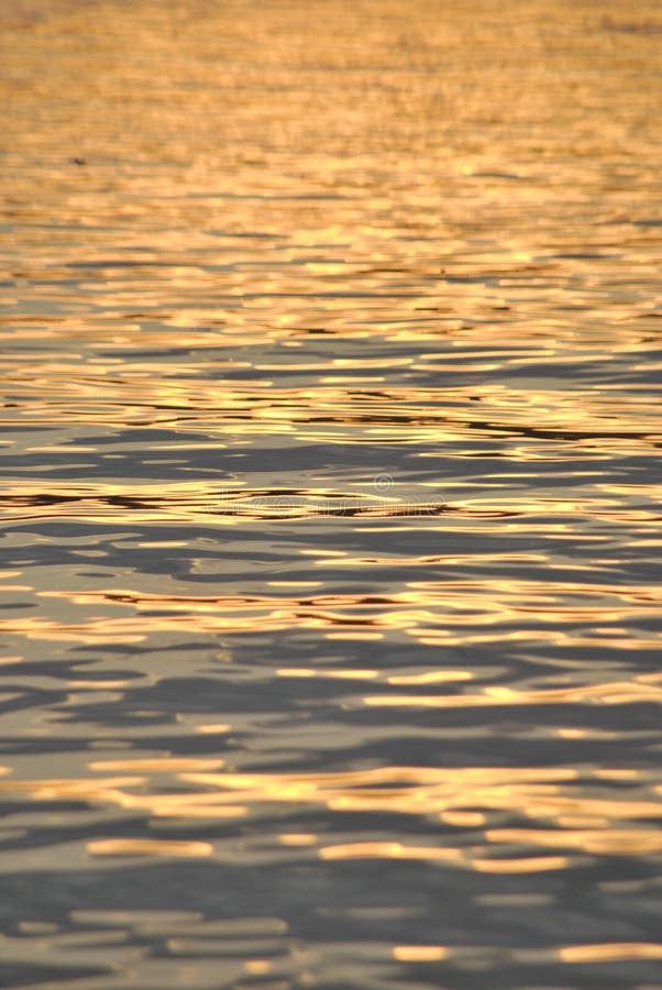 Golden Hour Sunlight Reflection on River Relaxing Wallpaper Stock Photo ...