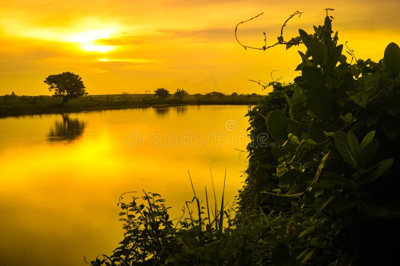 Golden Hour during Sunrise Over the Lake with Trees in Gresik, East ...