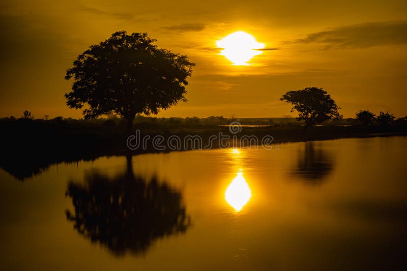 Golden Hour during Sunrise Over the Lake with Trees in Gresik, East ...