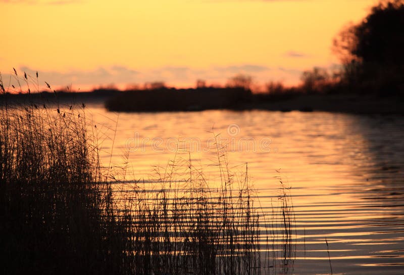 Summer Evening on the River Stock Photo - Image of dawn, lake: 108747056