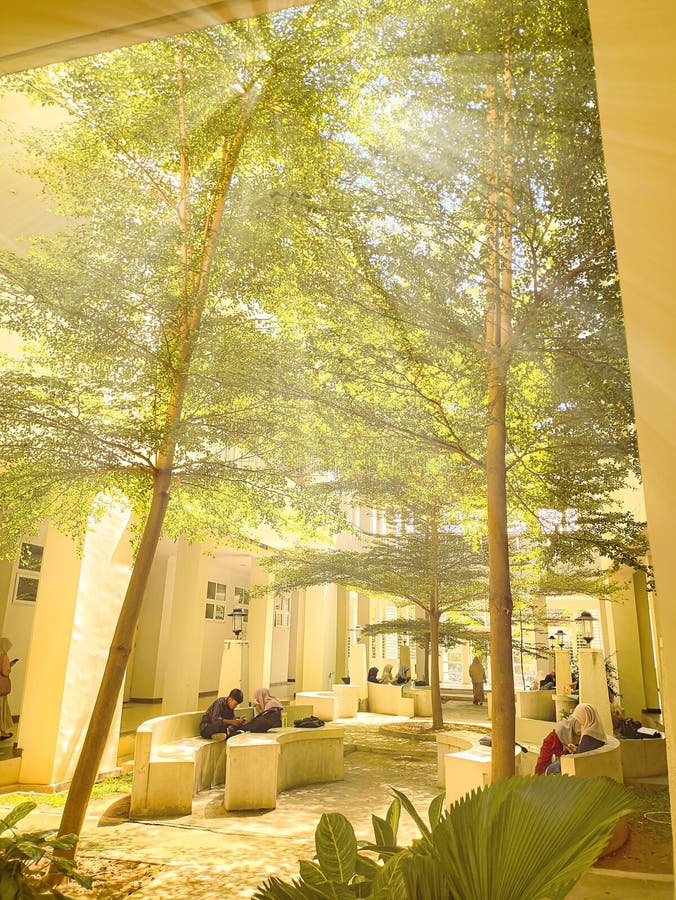 Golden Hour View at University Editorial Stock Photo - Image of golden ...