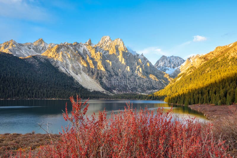 Golden Hour of Zhajinjiabo Snowberg Stock Image - Image of area ...