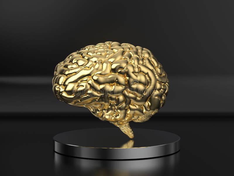 Golden human brain stock illustration. Illustration of cortex - 30425599