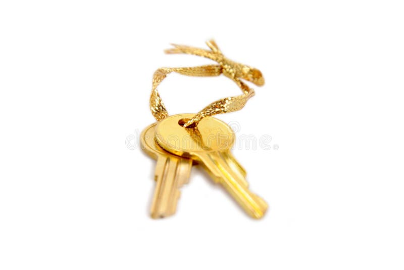 Golden key stock photo. Image of success, finance, economic - 596240