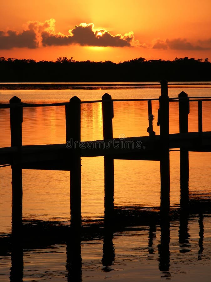 Key Largo Beach stock photo. Image of keys, dock, palms - 368604