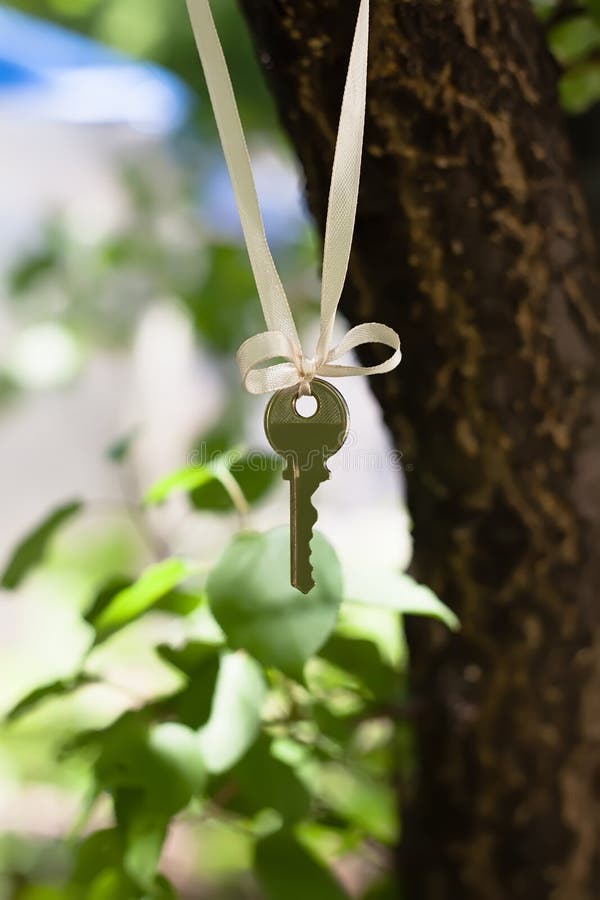 Golden key on a string stock photo. Image of catch, open - 42886716