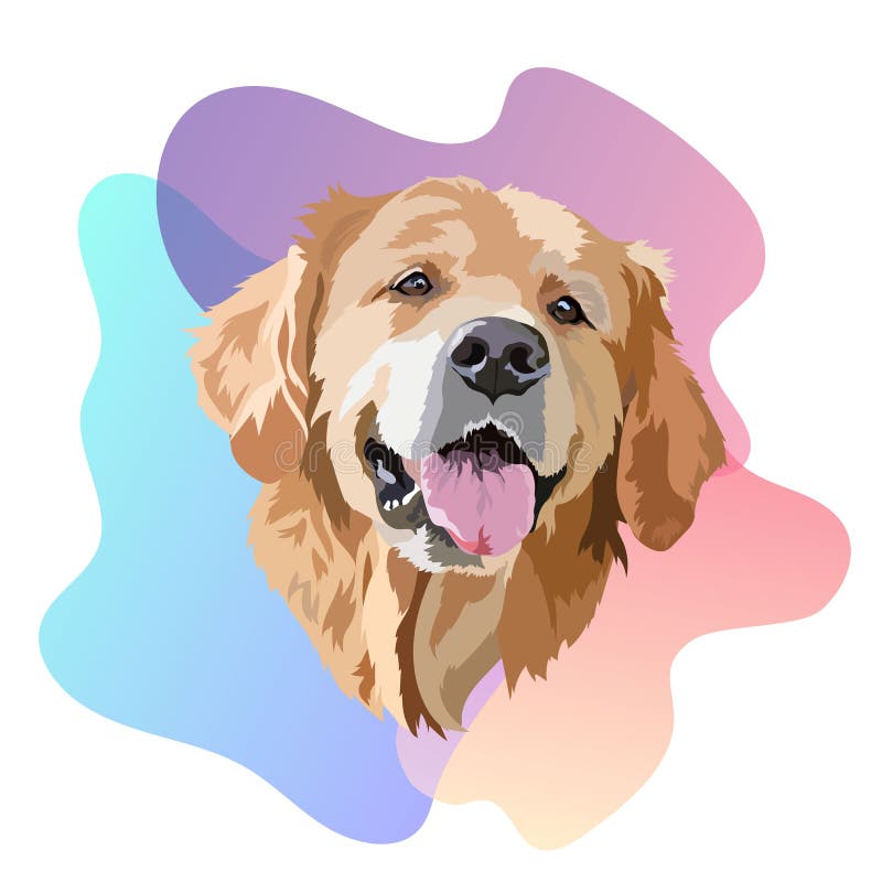 Golden Labrador Retriever Head Vector Illustration. Trend Stock Vector ...