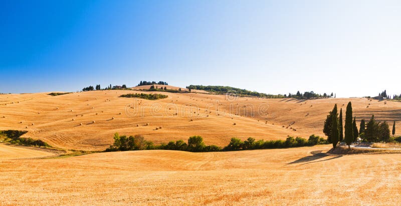 Golden landscape stock photo. Image of crop, environment - 27343884