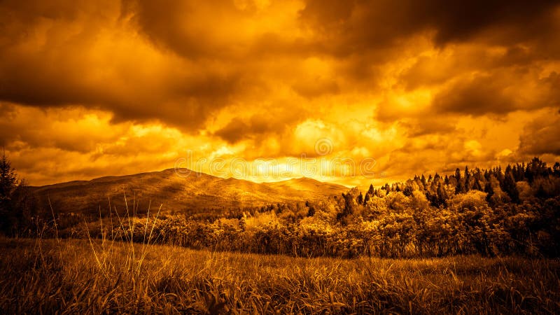 Golden Landscape, California Poppy Meadow, Walker Canyon Stock Photo ...