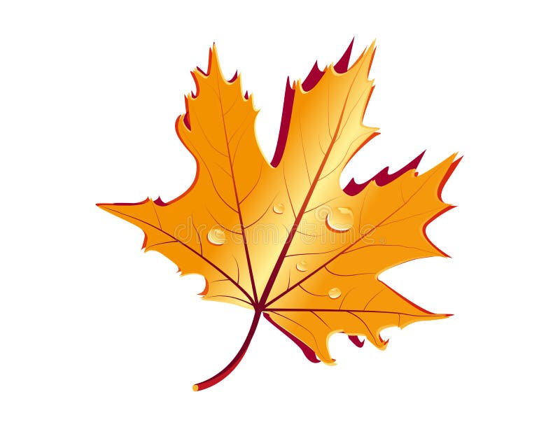 Golden leaf stock illustration. Illustration of design - 28207262