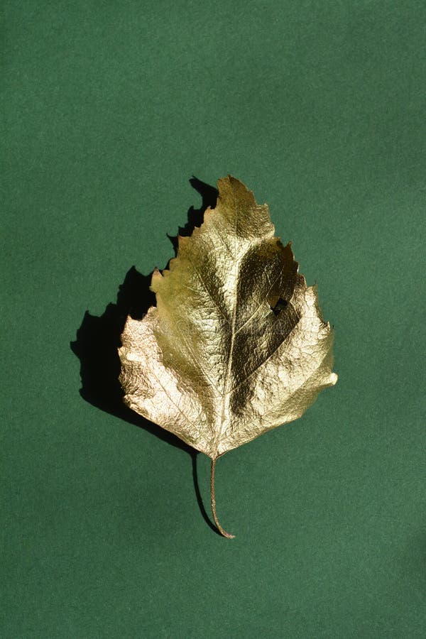 Golden leaf stock photo. Image of green, color, texture - 181026262