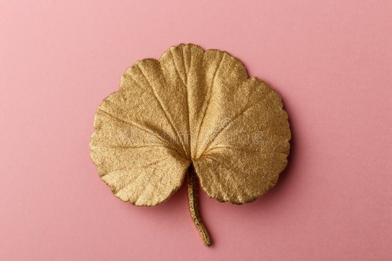 Golden leaf stock image. Image of autumn, flat, colorful - 204818621