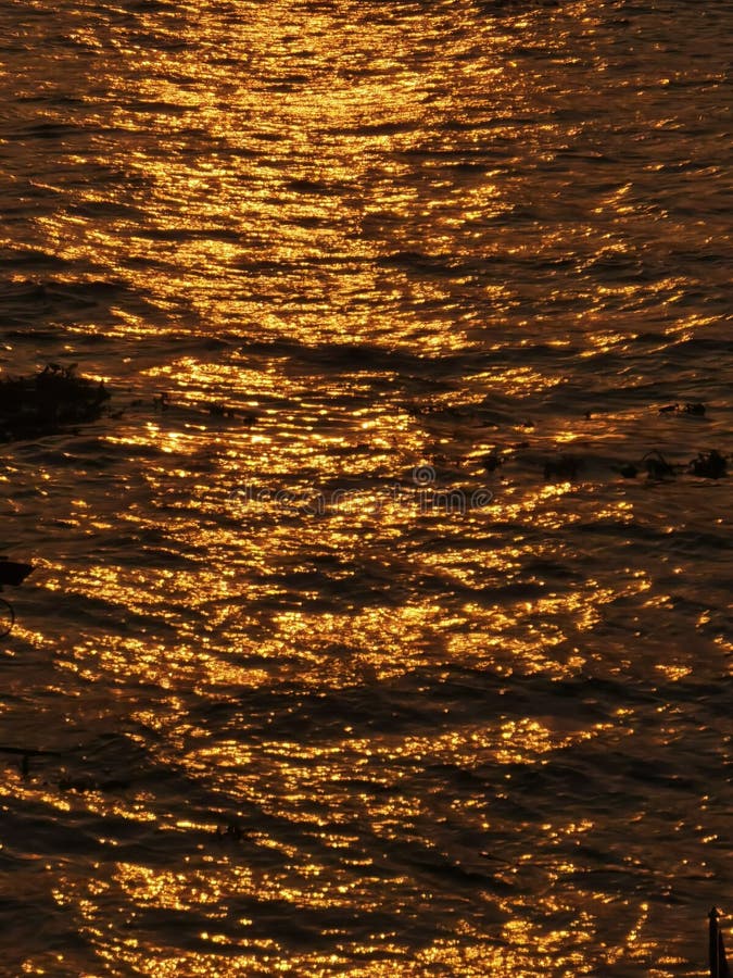 Golden Light Background, Water Reflection, Evening, Sunset Stock Image ...