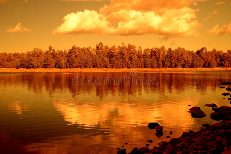 Golden light forest lake stock image. Image of light - 45581017