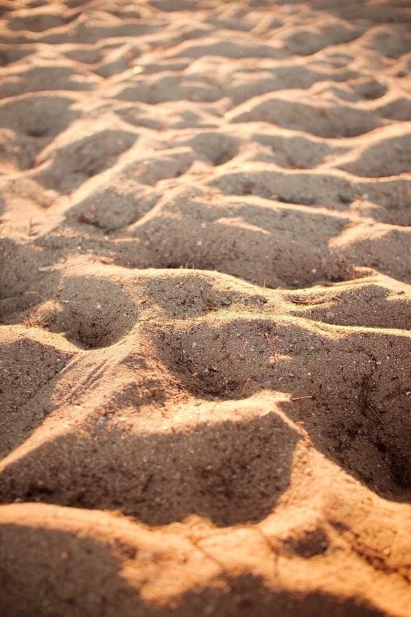 Golden Light Sand stock photo. Image of beach, lighting - 60325716