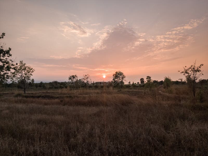 The Golden Light of the Setting Sun Stock Photo - Image of evening ...