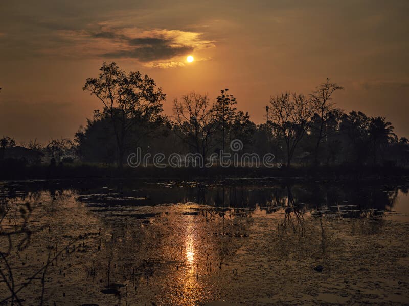 The Golden Light.Golden Sky in THAILAND Countryside Background Stock ...
