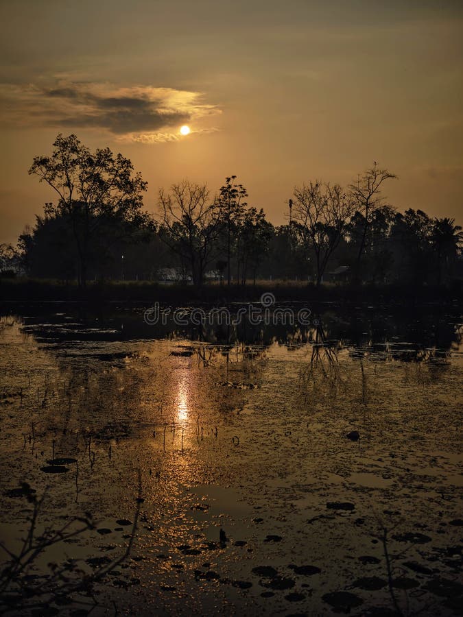 The Golden Light.Golden Sky in THAILAND Countryside Background Stock ...