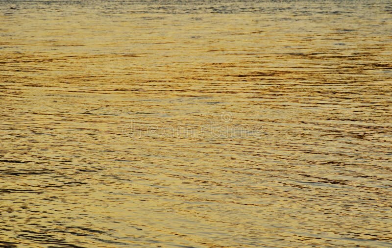 Golden Light in Sunset Reflection on River Stock Photo - Image of relax ...