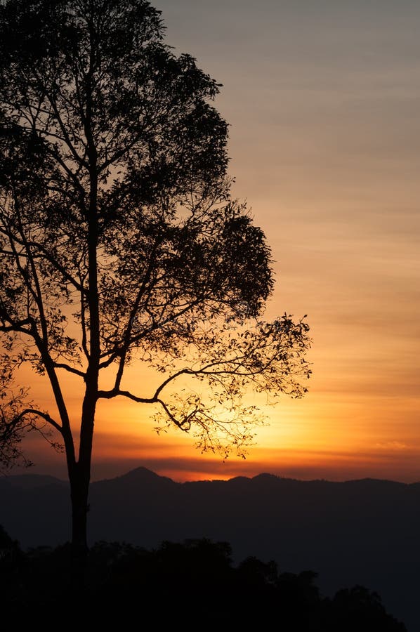 Golden light of sunset stock image. Image of autumn, dusk - 48294273
