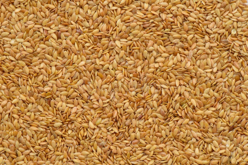 Golden Linseed / Flax Seeds Stock Photo - Image of layer, plant: 28639352
