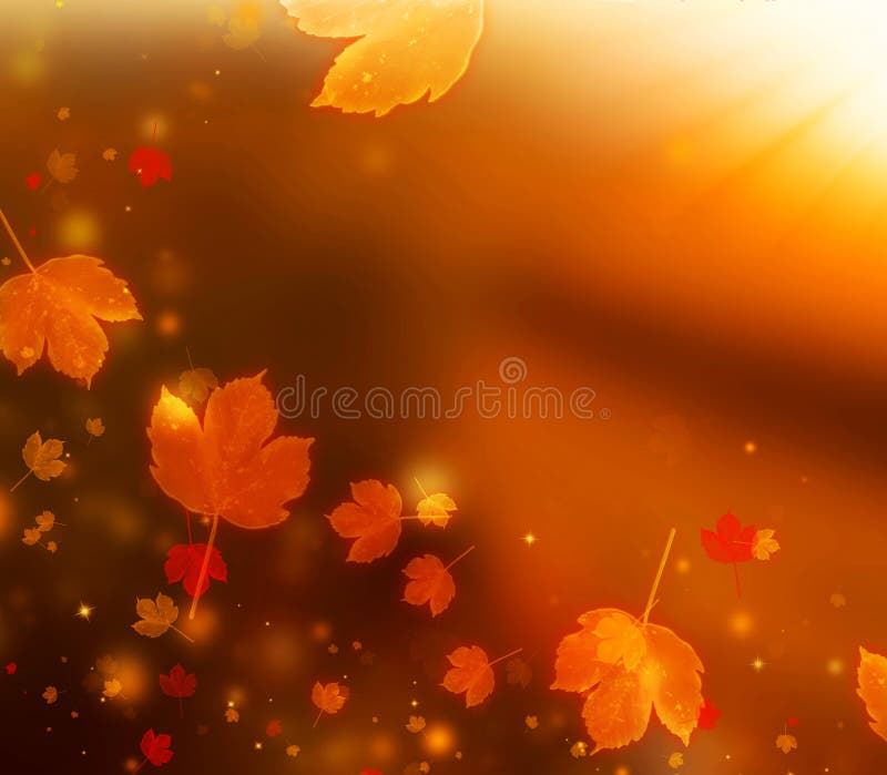Golden Magic Fall Abstract Background Stock Illustration - Illustration ...
