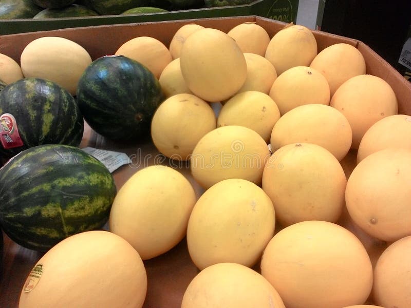 Golden mellons stock image. Image of ripe, summers, mellon - 55080517
