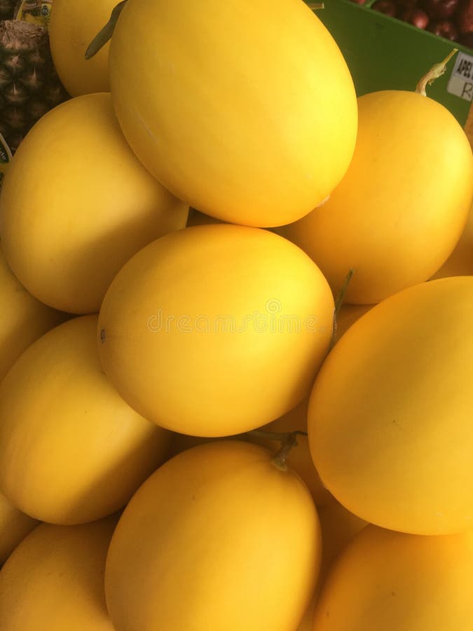 Golden Melon stock photo. Image of golden, fruits, summertime - 219406128
