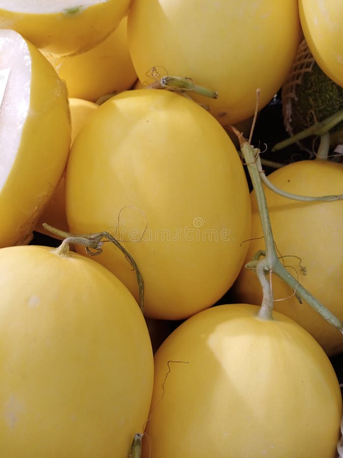 The golden melon stock photo. Image of pumpkin, supermarkets - 245336896