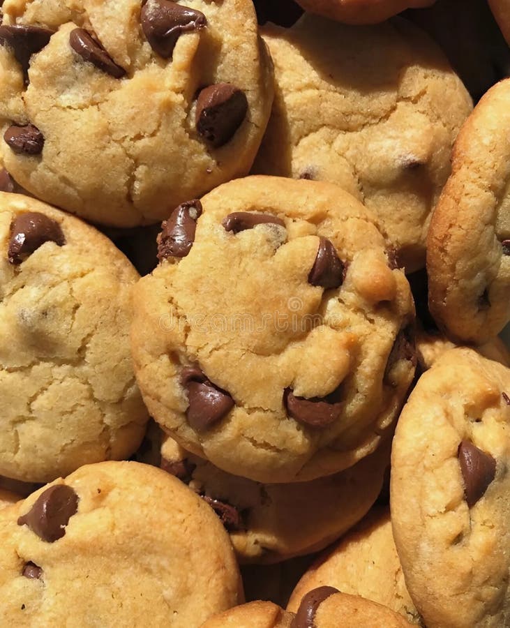 Golden Mini Choco Chip Cookies Stock Image - Image of chip, cookies ...