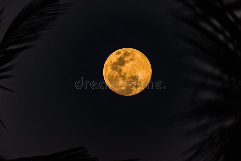 Golden moon stock photo. Image of golden, colors, angels - 8944522