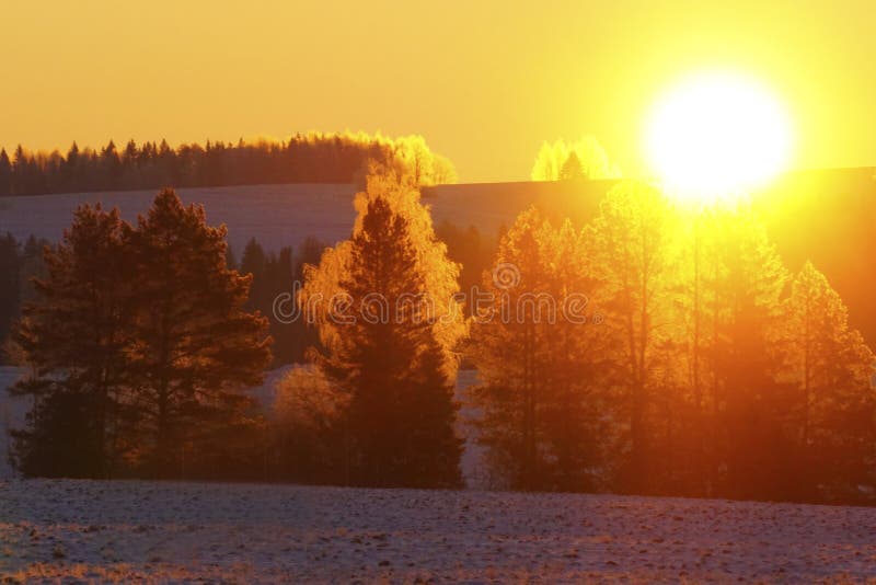Golden morning in november stock image. Image of afterglow - 202279547