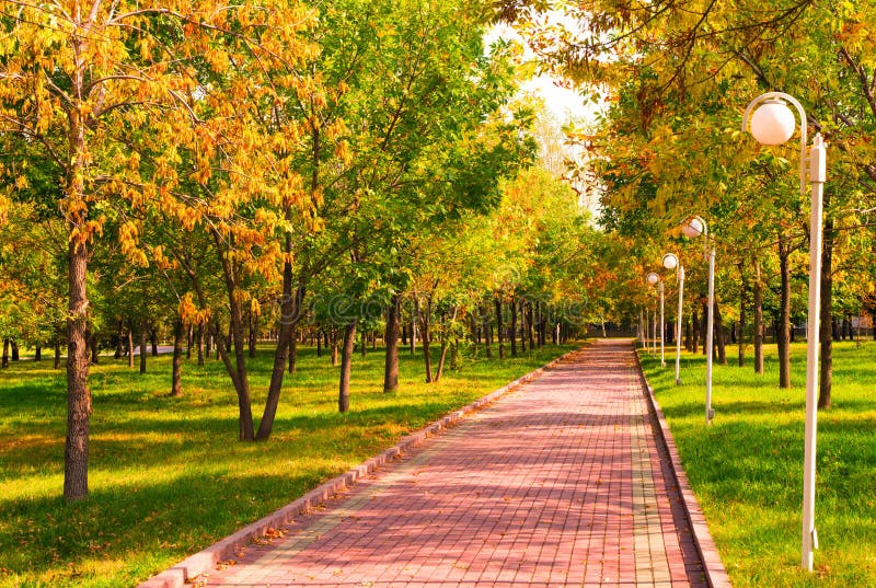 Golden morning in a park. stock image. Image of sidewalk - 77614749