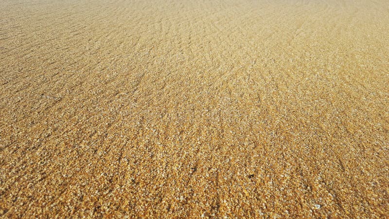 Golden Natural Sand Background Stock Image - Image of beach, outdoor ...