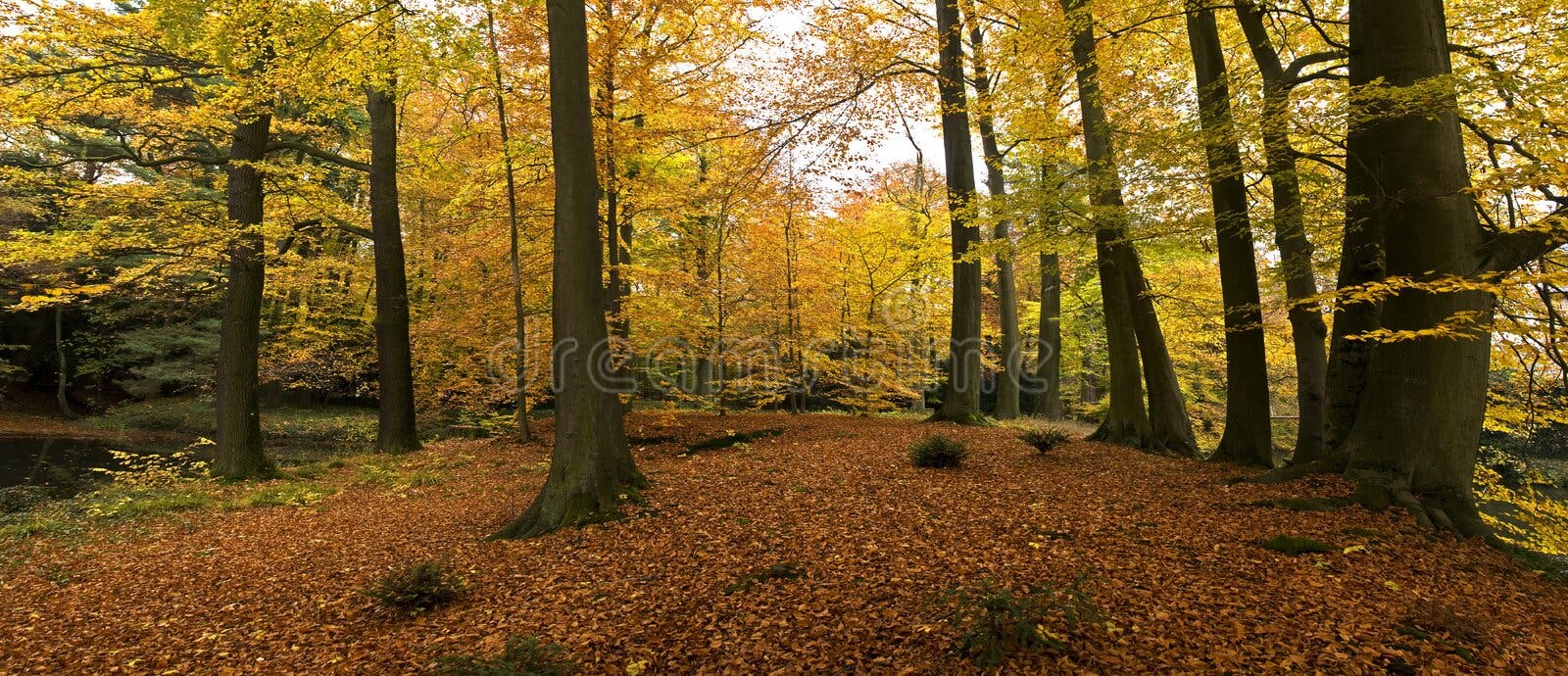 October 2 stock image. Image of landscape, panoramic, seasonal - 254405