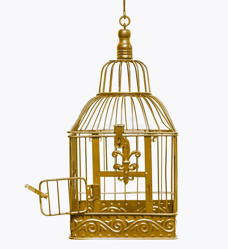 Open Bird Cage stock photo. Image of cell, enclose, detainee - 5123568