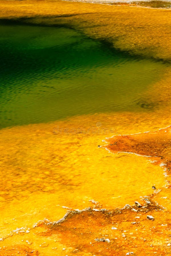 Golden Orange Rim of Sulfuric Hot Spring Stock Photo - Image of creek ...