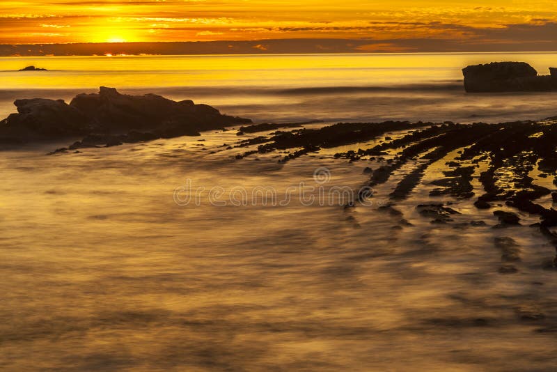 Golden Orange Green Red Paint Texture, Vivid Waxy Colors, Contrasts ...