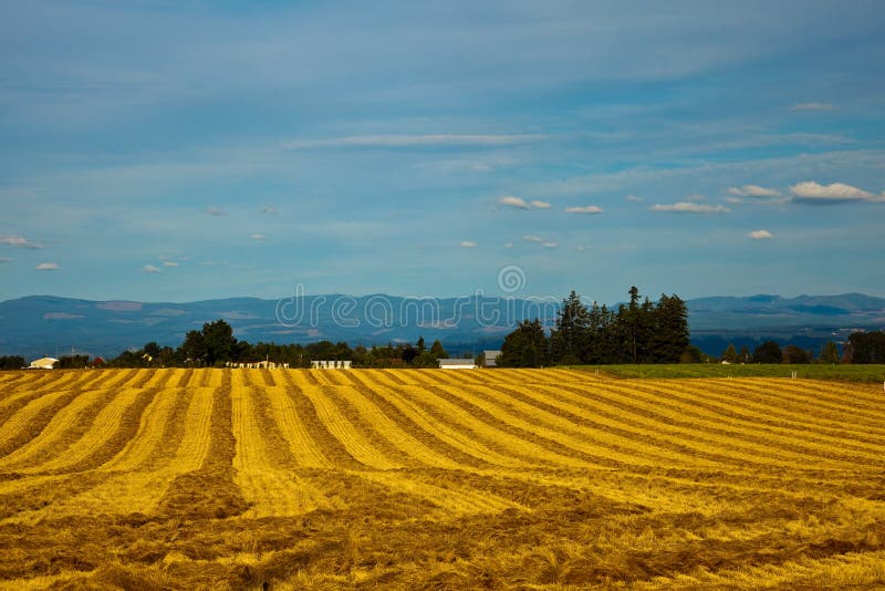 stock image. Image of landscape, park, gold, river - 166934117