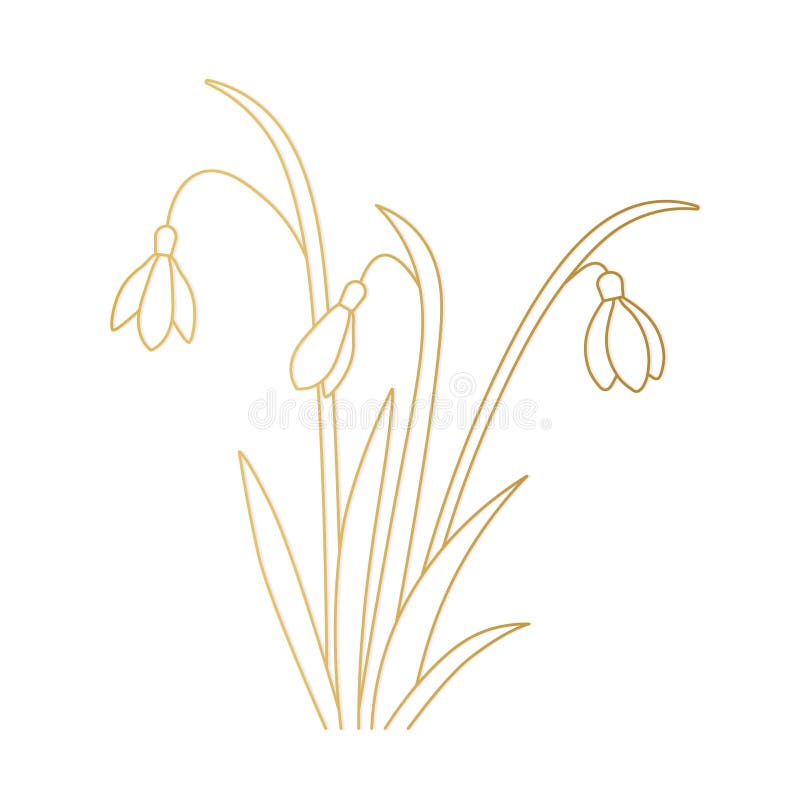 Golden Outline of Snowdrops Flowers Stock Vector - Illustration of ...