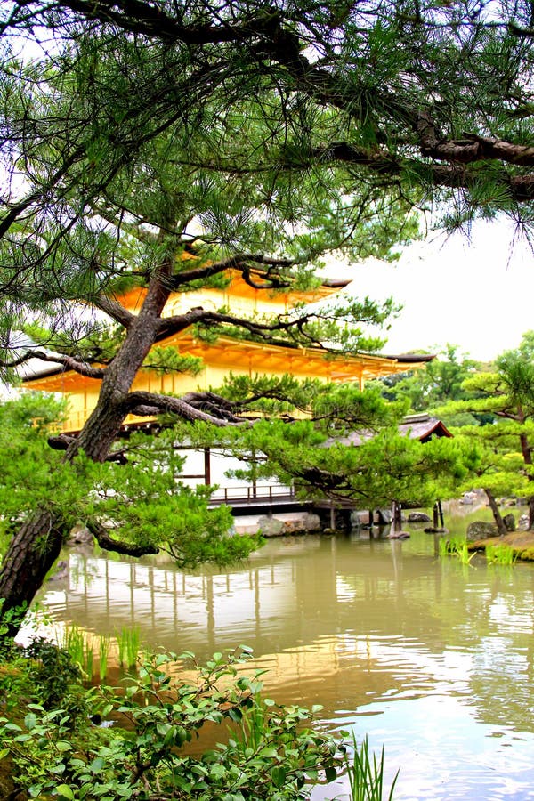 Golden Palace in Japan stock photo. Image of pagoda, japan - 75930510