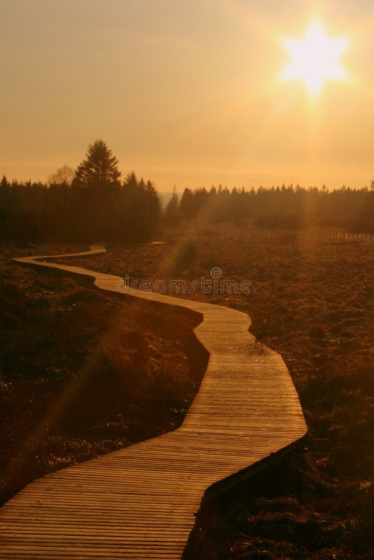 159,371 Golden Path Stock Photos - Free & Royalty-Free Stock Photos ...