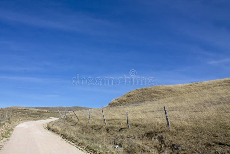 A Golden Path that Leads To the Blue Sky 2 Stock Photo - Image of ...