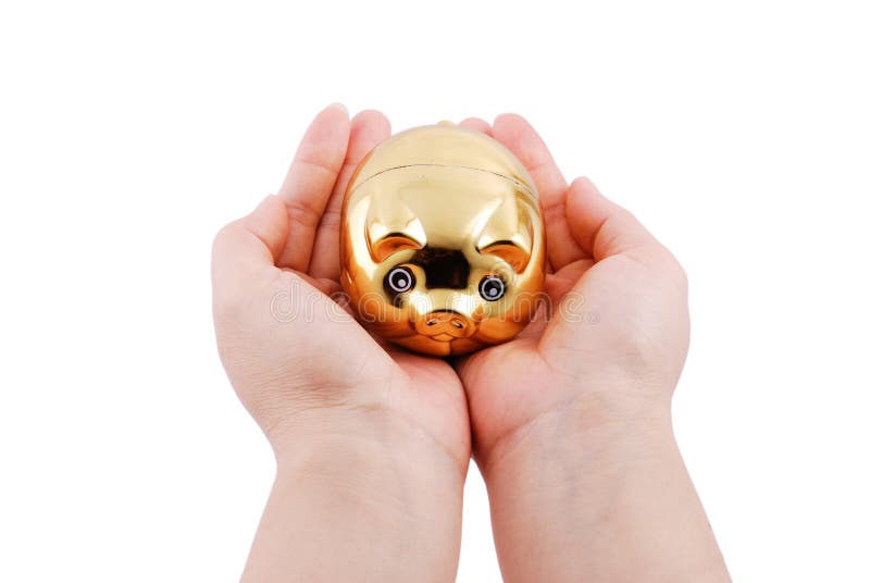 Golden pig stock image. Image of hands, close, year, luck - 12799377